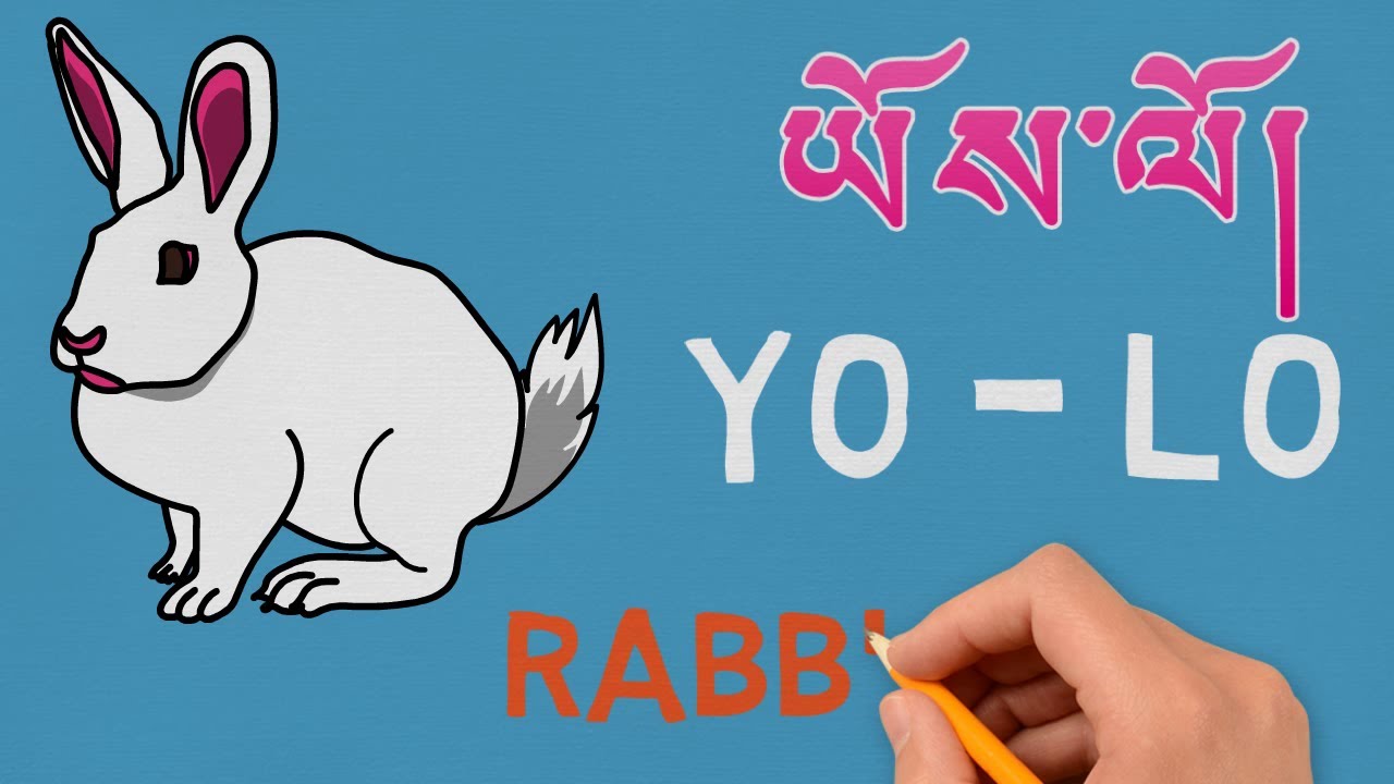 Animation Video in Sherpa Language 2020 [12 Animal Zodiac Signs ] - YouTube