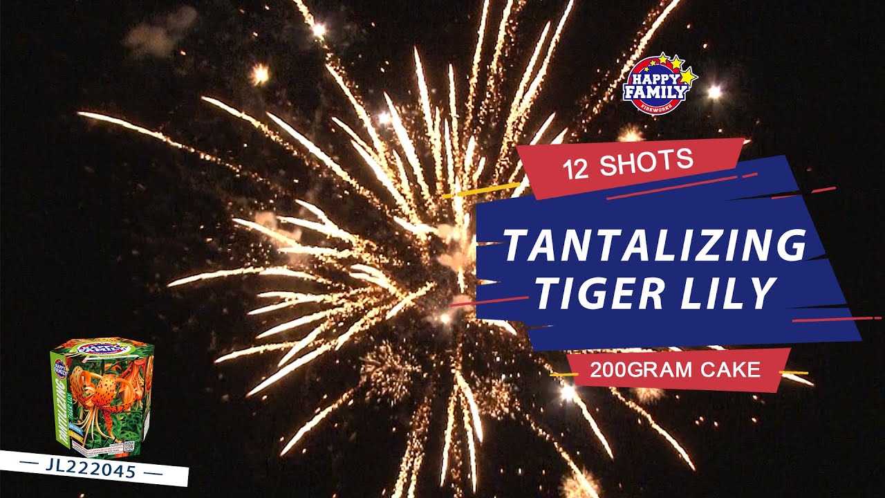 HAPPY FAMILY FIREWORKS 200GRAM JL222045 TANTALIZING TIGER LILY 12 shots ...