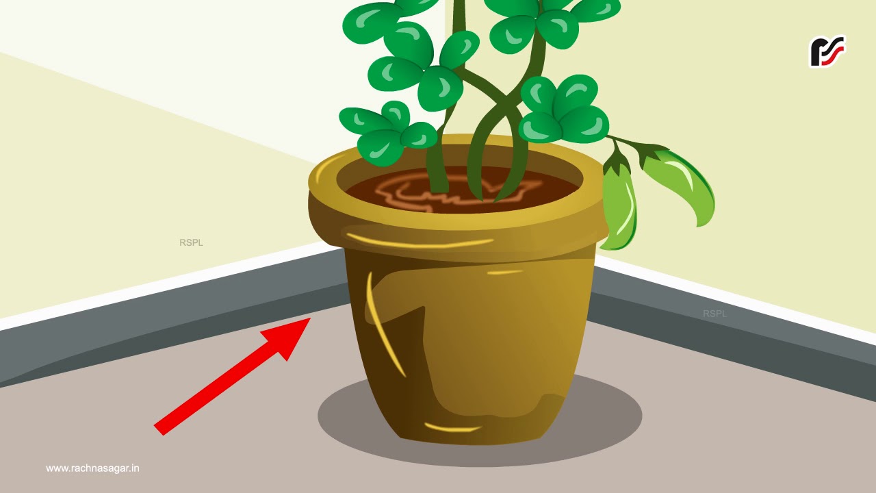 p – animation with vocabulary – V2 - YouTube