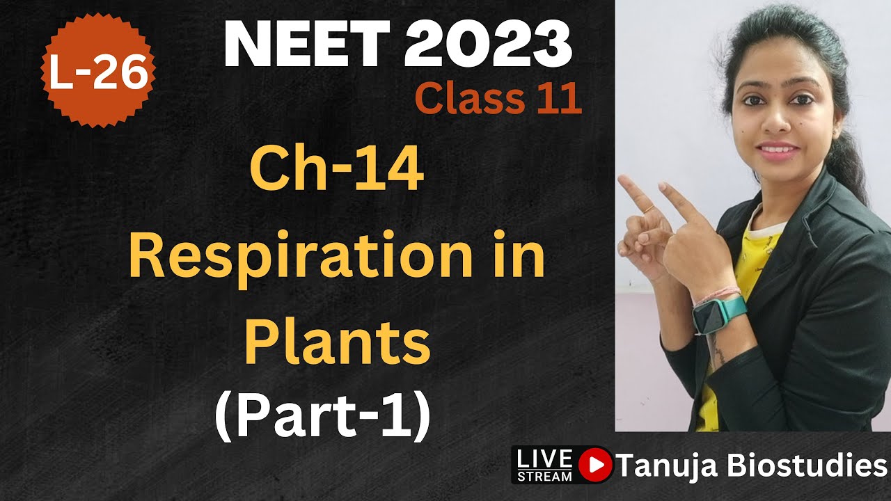 L-26| Ch-14 Respiration In Plants| Part 1 |Glycolysis|Fermentation ...