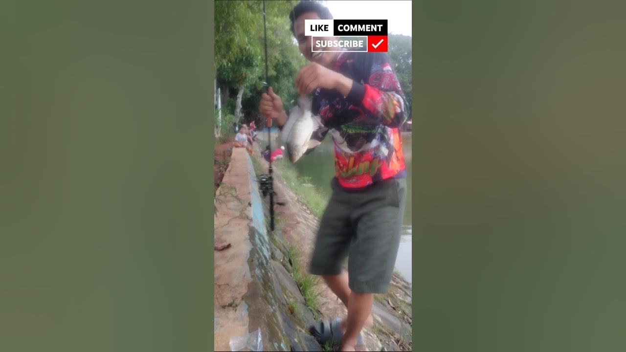 Mancing Garong di Setu Babakan|| strike nila babon #mancing #ikan #babon ##nila - YouTube