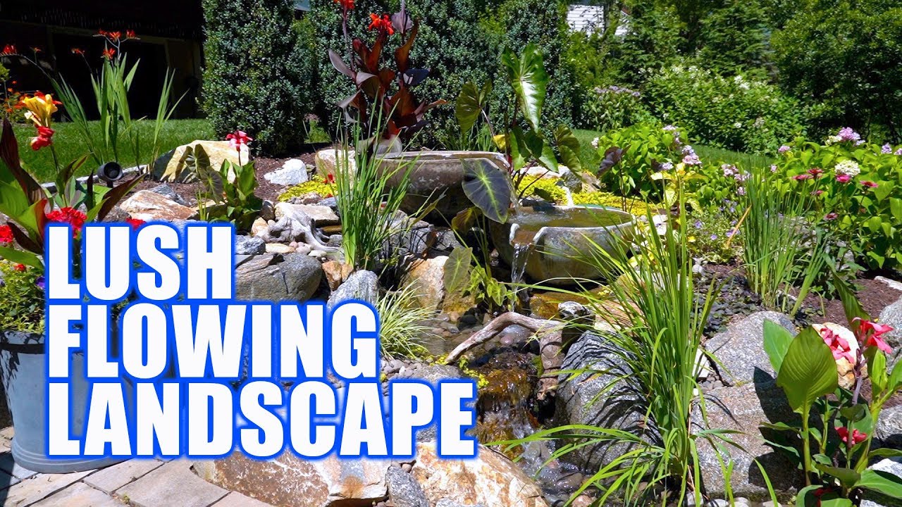 Learn the ART of POND Building: Greg Wittstock, The Pond Guy - YouTube