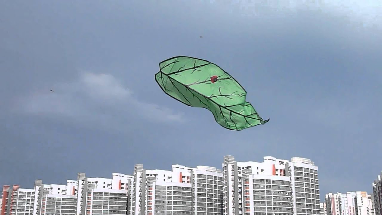 Ladybird on a Leaf Kite - YouTube