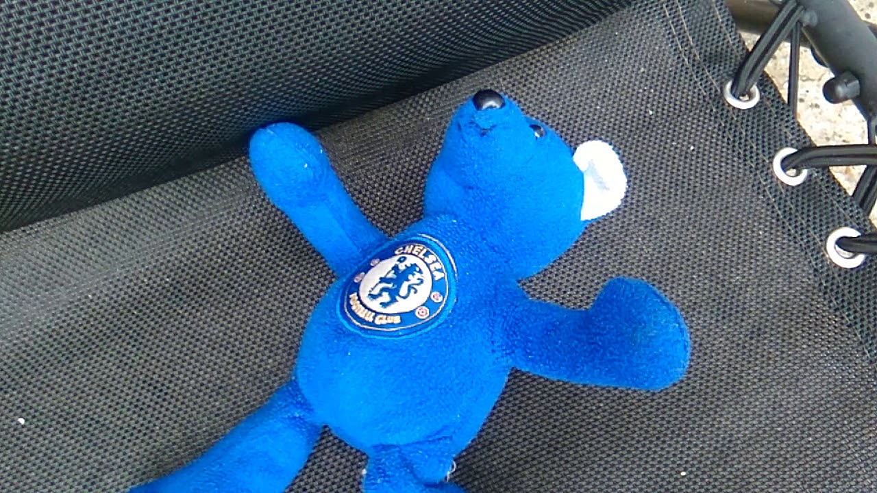 Chelsea Bear sneaks out! (Part 1) - YouTube