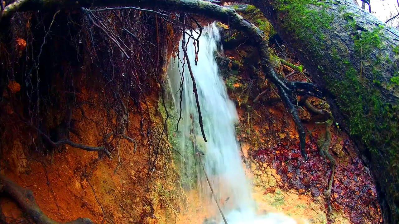 Relaxing Forest Waterfall. Calming Nature Sounds. (10 hours). White ...