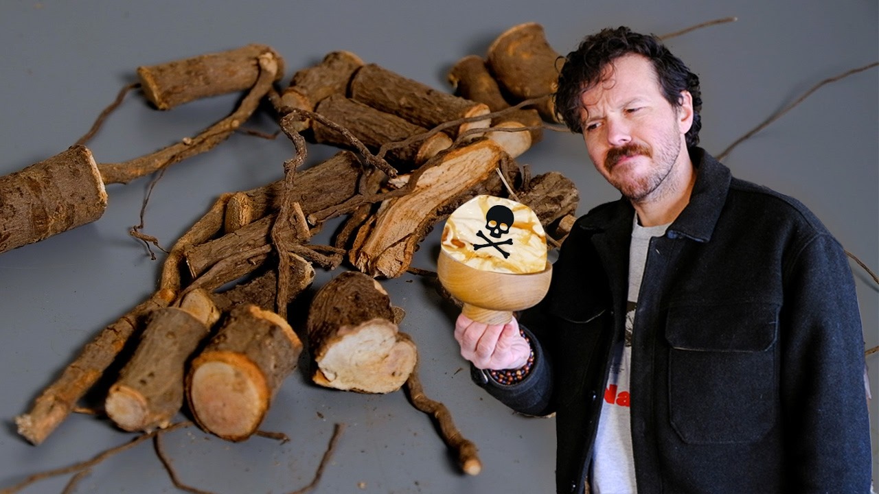 This tree once flavored root beer ... but will it poison me? - YouTube