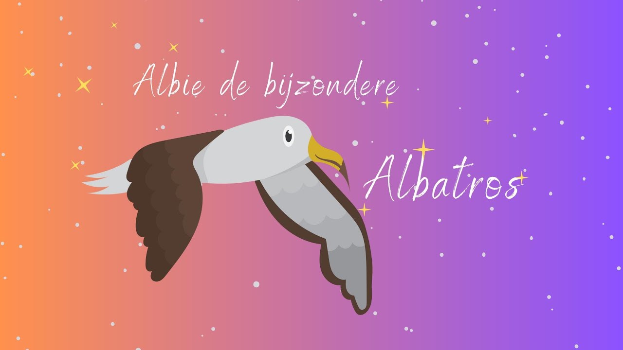🇳🇱 #20 Albie de Bijzondere Albatros NEDERLANDS | Slaapverhaaltjes voor ...