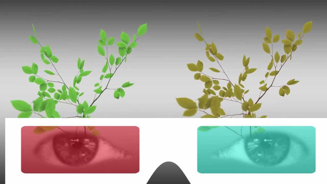 Stereoscopics Explained - 2D Version - YouTube