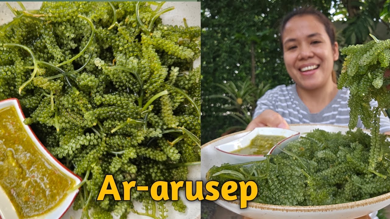 Ar-arusep (seaweed) and Thai seafood sauce - YouTube