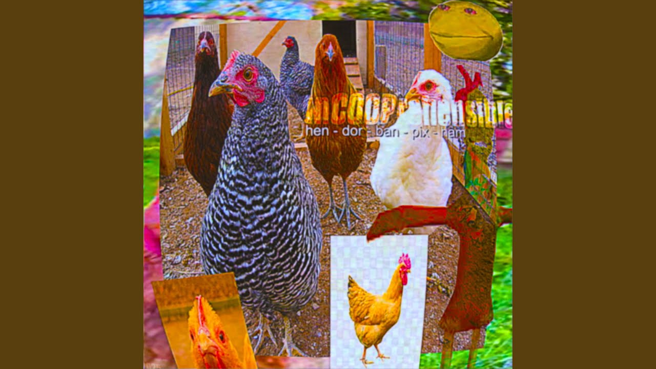 I am a chicken - YouTube