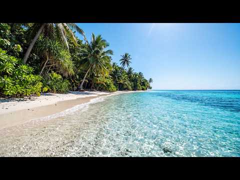 Peaceful Tropical Beach 🌴 Gentle Waves for Relaxation & Deep Focus (4K, No Music) – ASMR