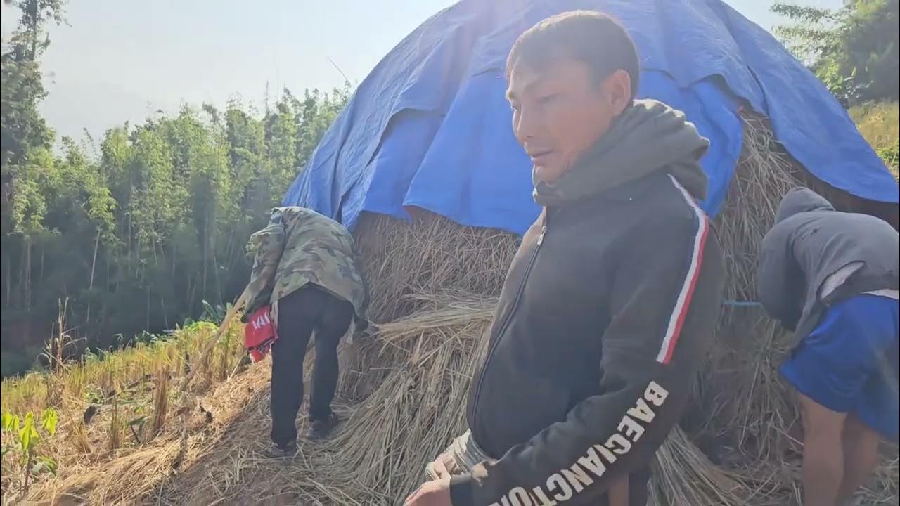 hnub no pib ntaus nplej lawm os - YouTube