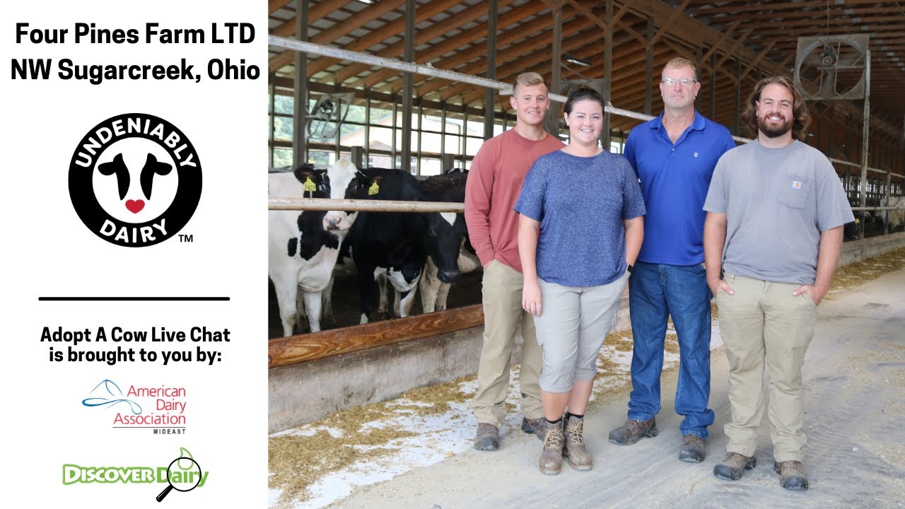 Four Pines Farm - Adopt A Cow Live Chat - YouTube