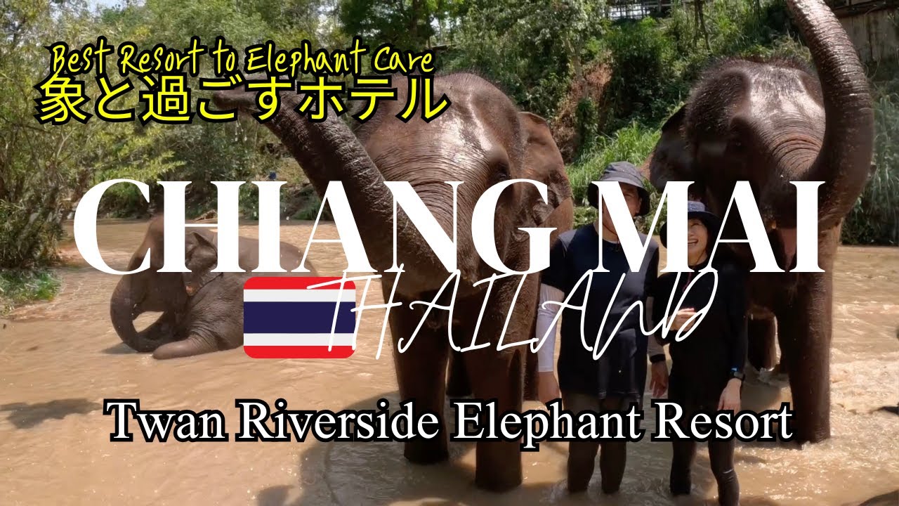 【Chiang Mai チェンマイ】チェンマイの自然の中で象と過ごす Best Resort to Elephant Care 【Tawan ...
