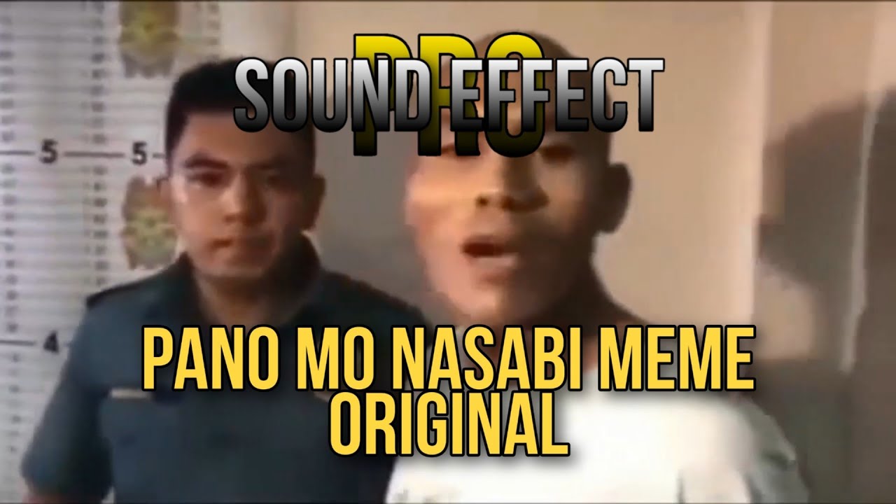 40 | Pano Mo Nasabi | Meme Video With Sound Effect | No Copyright Meme ...