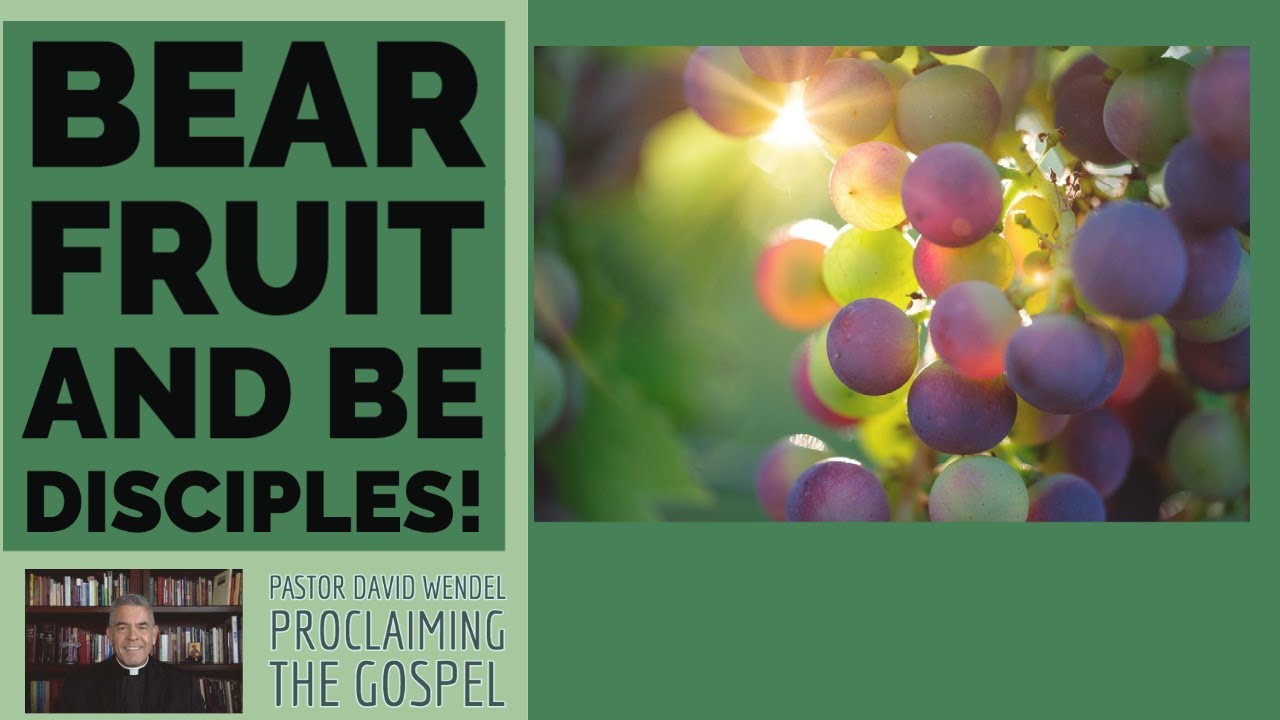  Bear Fruit And Be Disciples YouTube