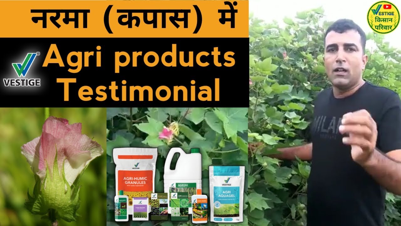 Narma (Cotton Crop) me Vestige Agri Products Testimonial - YouTube