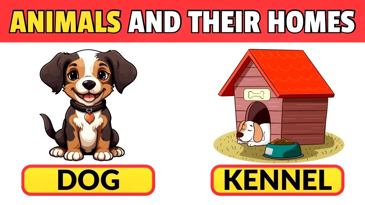 Animals and their homes | Animals Homes Vocabulary for Kids | Animals ...