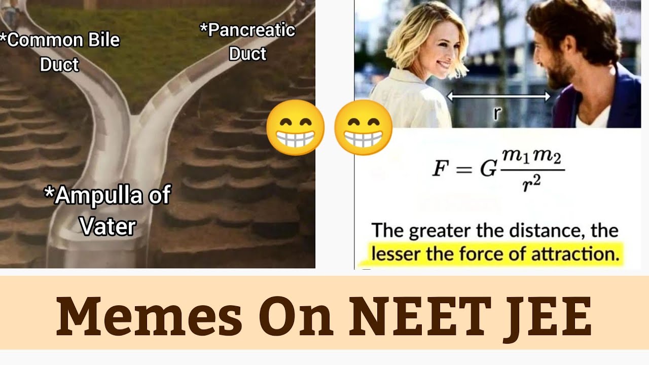 #17 Memes On NEET & Medical Students | PCMB memes | Funny NEET JEE ...