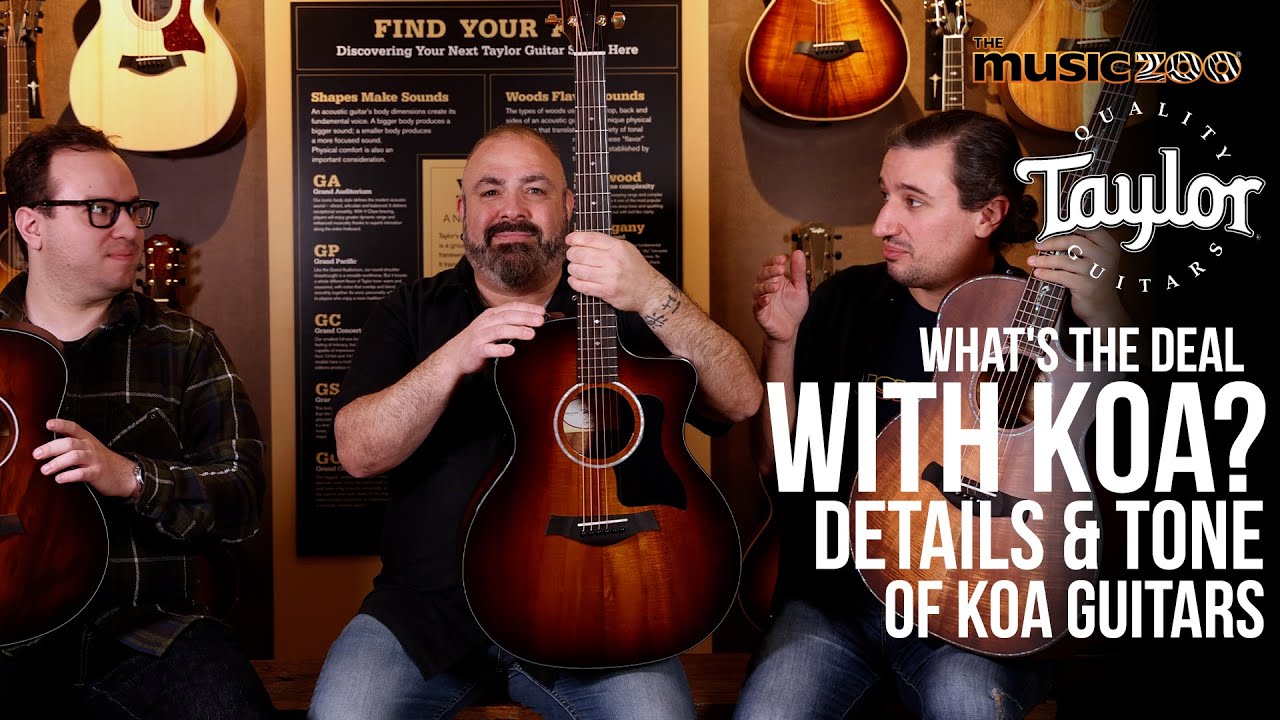 Taylor Guitars Koa Tone Wood Overview: How does Koa sound and open up ...