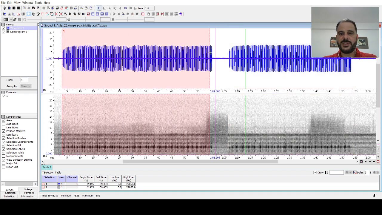 Introdução a análises bioacústicas usando o Raven - Aula 02 - YouTube