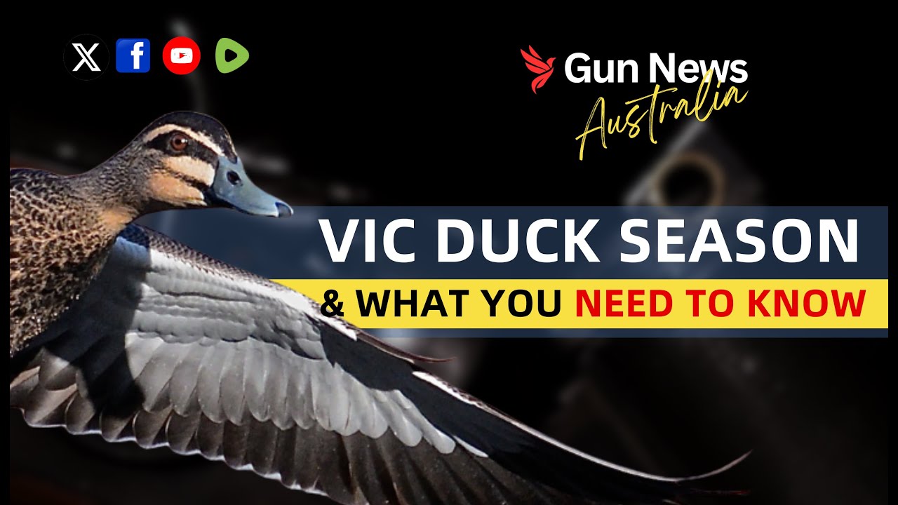 VICTORIAN DUCK SEASON: VDHA with the details of this year’s season ...