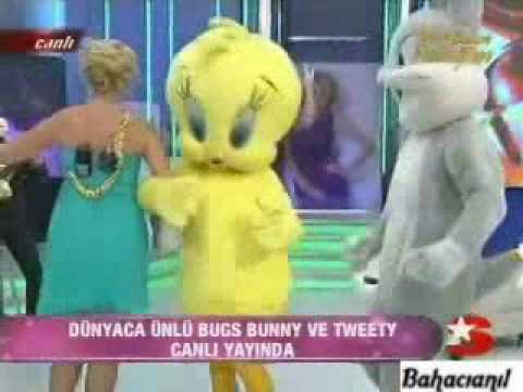 Baha'dan Yabancı Şarkı