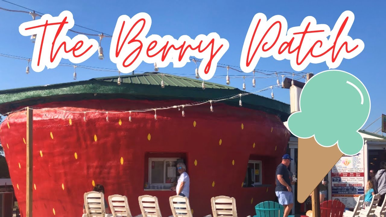 The Berry Patch in Ellerbe, NC | World’s Largest Strawberry! - YouTube