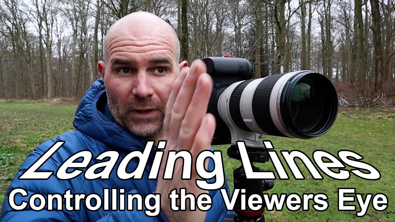 Leading Lines and controlling the viewers eye with Woodland Photography ...