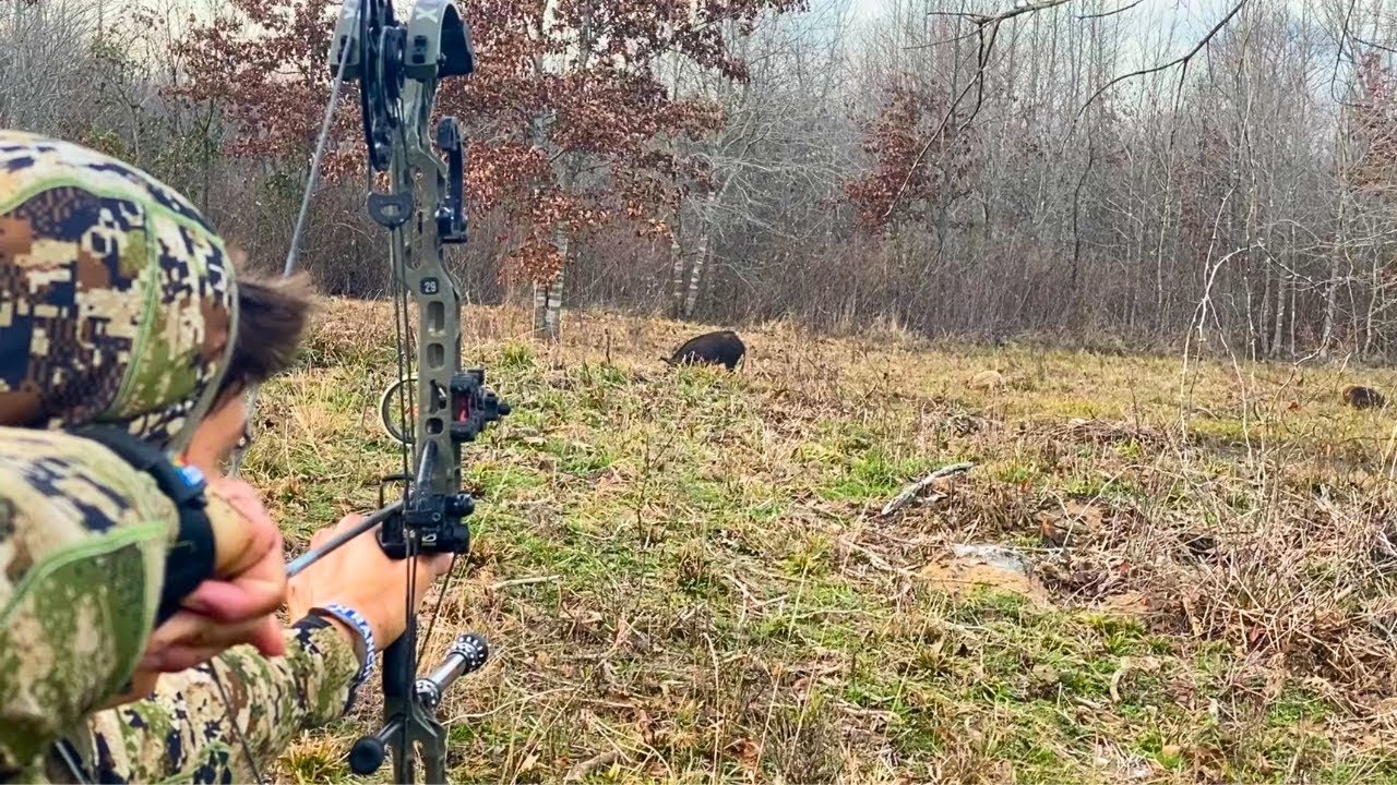 TOP 5 Hog Hunting Highlights of 2025! - ULTIMATE Wild Boar Bowhunting ...