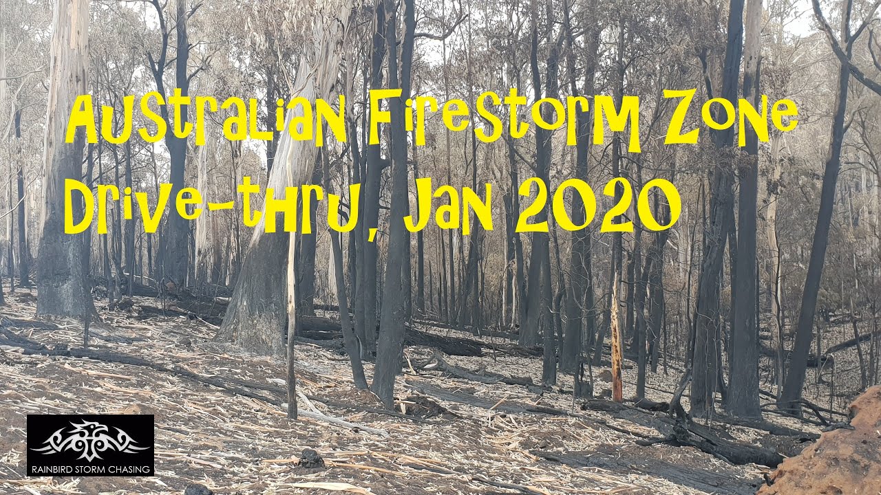 Australian Firestorm Zone Closed Road Drive thru Kosciuszko National ...