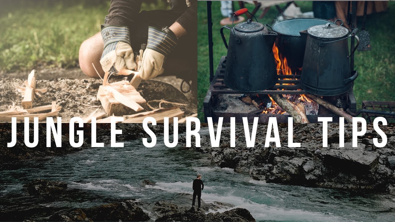 Jungle Survival Tips | Survival tips and jungle skills - YouTube