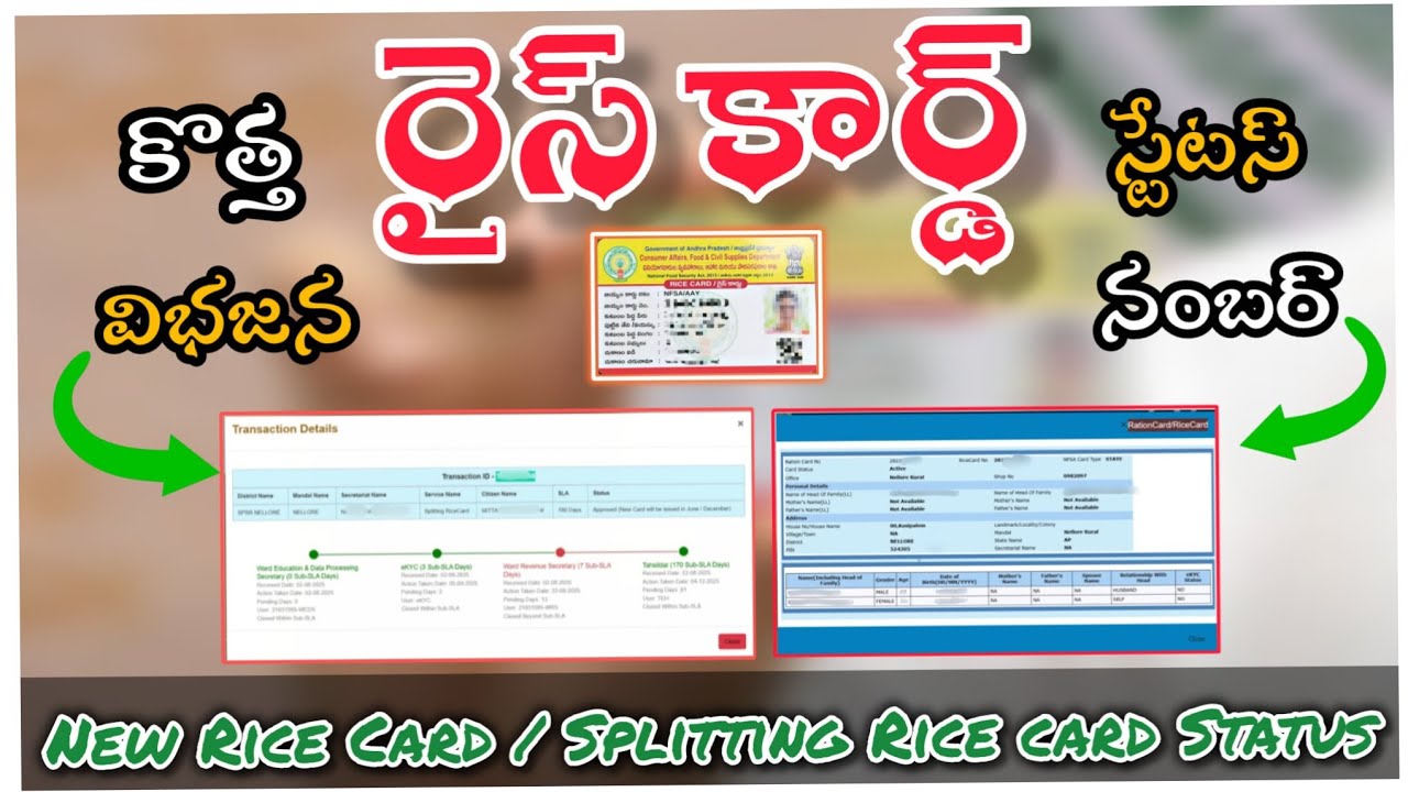 New Rice Card Status Check | Know your New Ration Card Number - YouTube