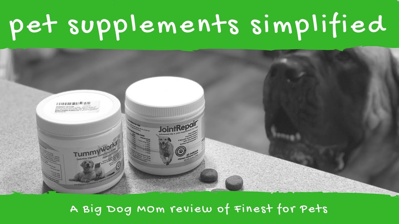 Pet Supplements for Large Dogs | Probiotics | Fish Oil | Joint Health | A Review of Finest for ...