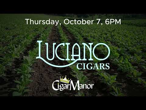 Mason Cigar Manor Events and Info 2025