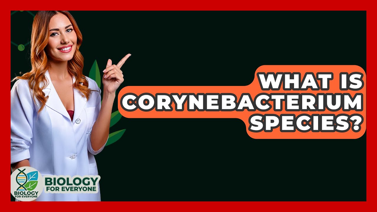 What Is Corynebacterium Species? - Biology For Everyone - YouTube