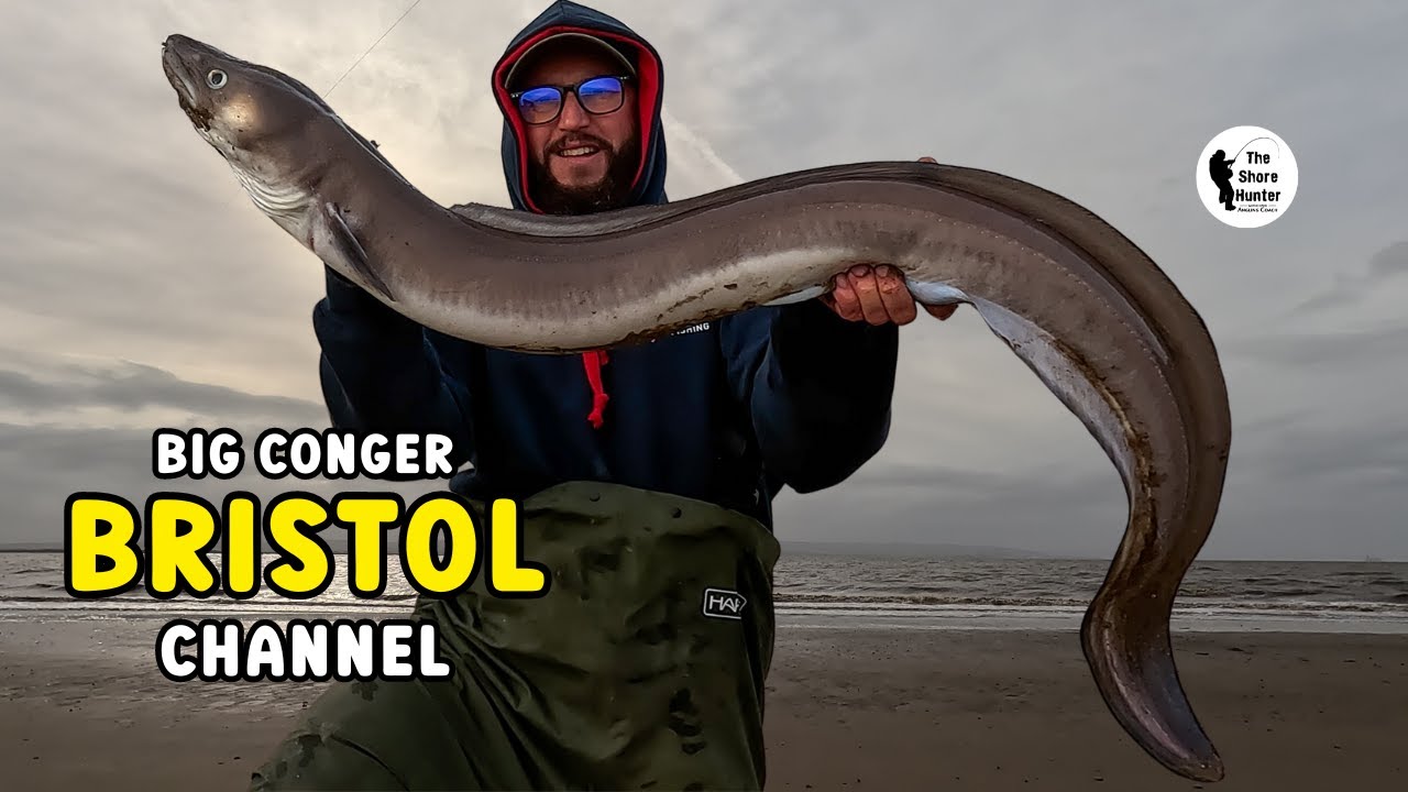 Big Fish, Massive Conger Eel, Wayne Hand, Bristol Channel 4K - YouTube