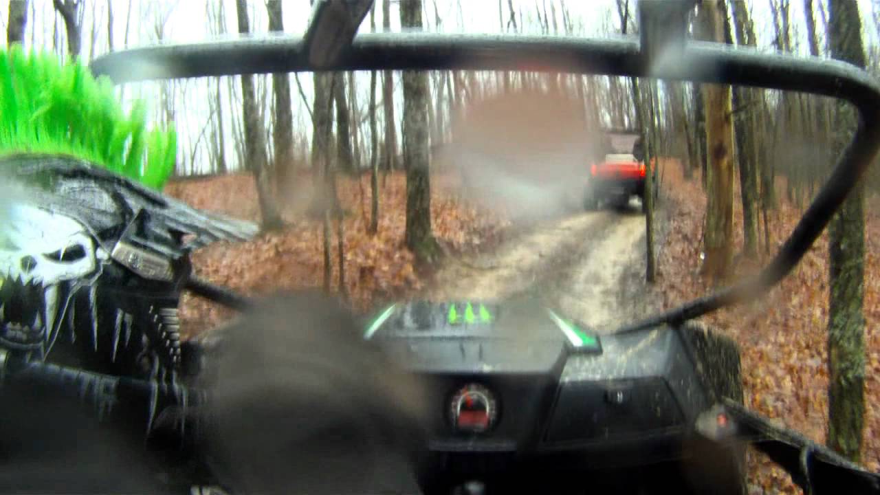 Pickett State Forest with the Wildcat - YouTube