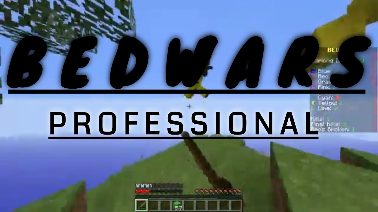 Bedwars professional (this is a unfunny joke ) - YouTube