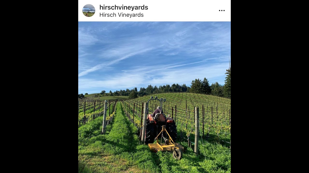 #VineyardChat with Jasmine Hirsch of Hirsch Vineyards in Sonoma ...
