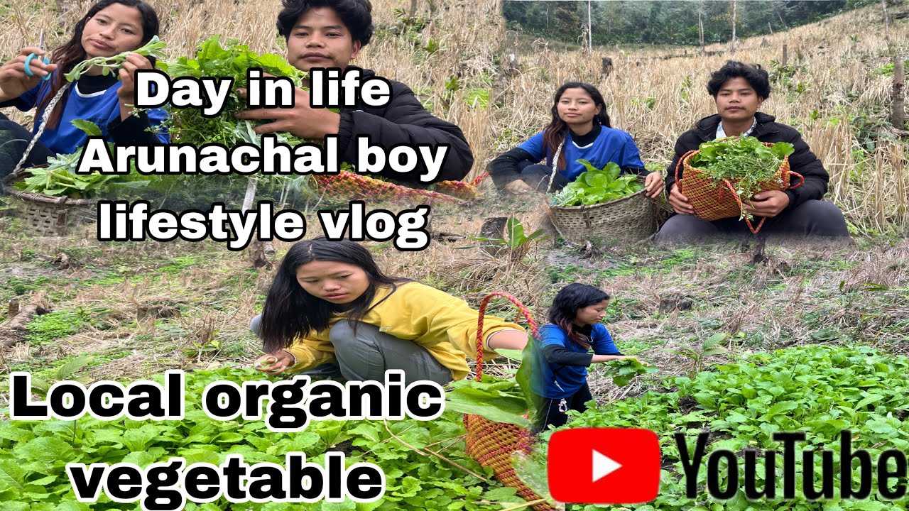 Collecting local organic vegetables from our jhum cultivation || # ...