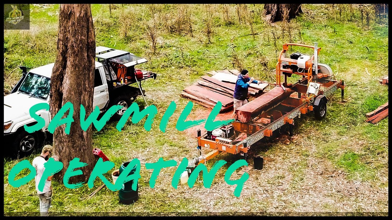 Saw Milling // Aus Hardwoods // Norwood Mill// Cutting Logs in to ...