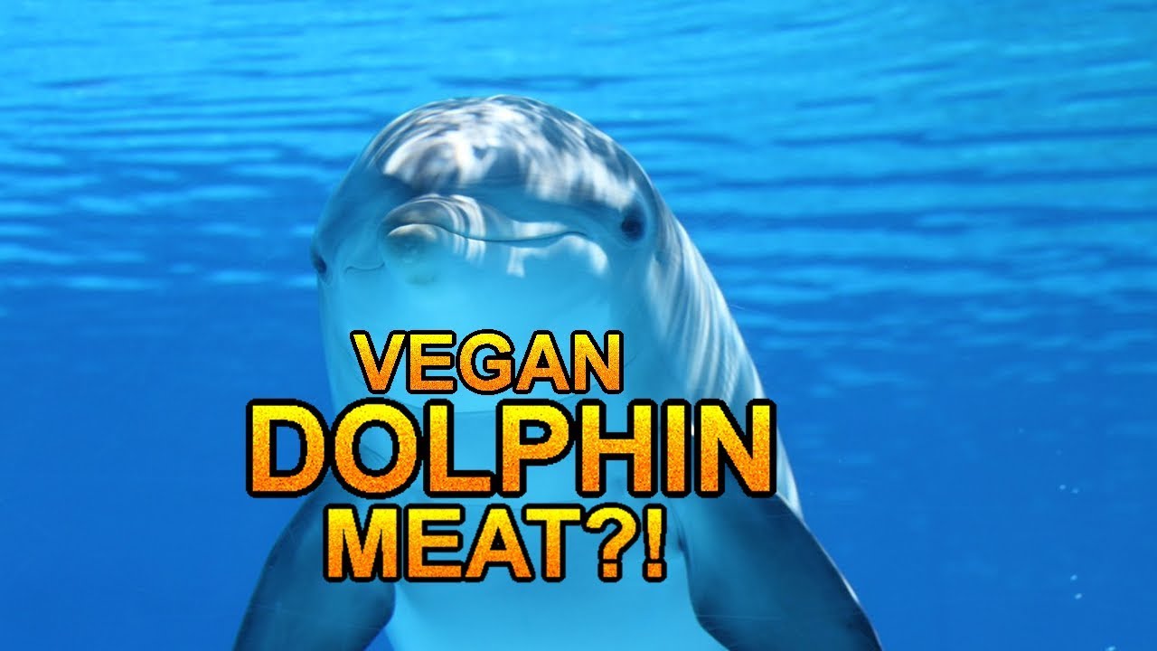 Vegan DOLPHIN Meat & My Thanksgiving Dinner - YouTube