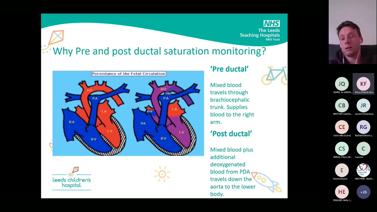 Care of the Neonate with Diagnosis of PPHN - Nursing Perspective ...