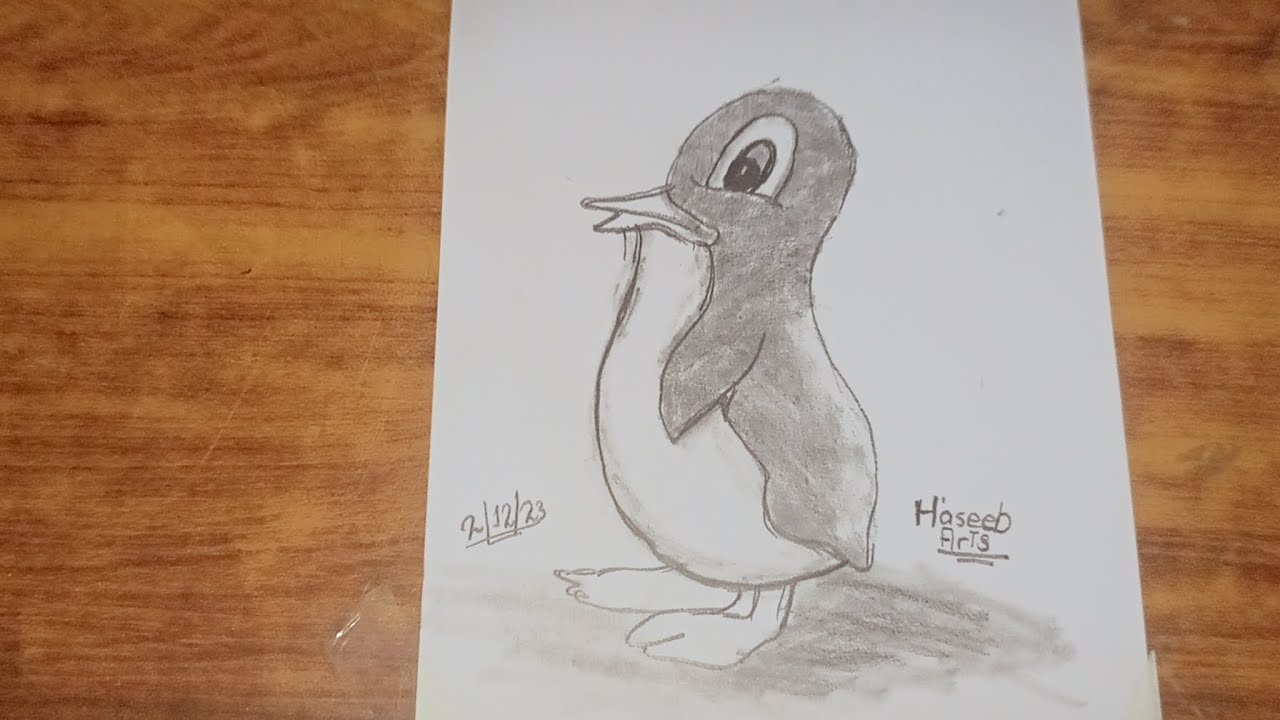 how do Penguin drawing arts Penguin drawing arts HASEEBARTS - YouTube