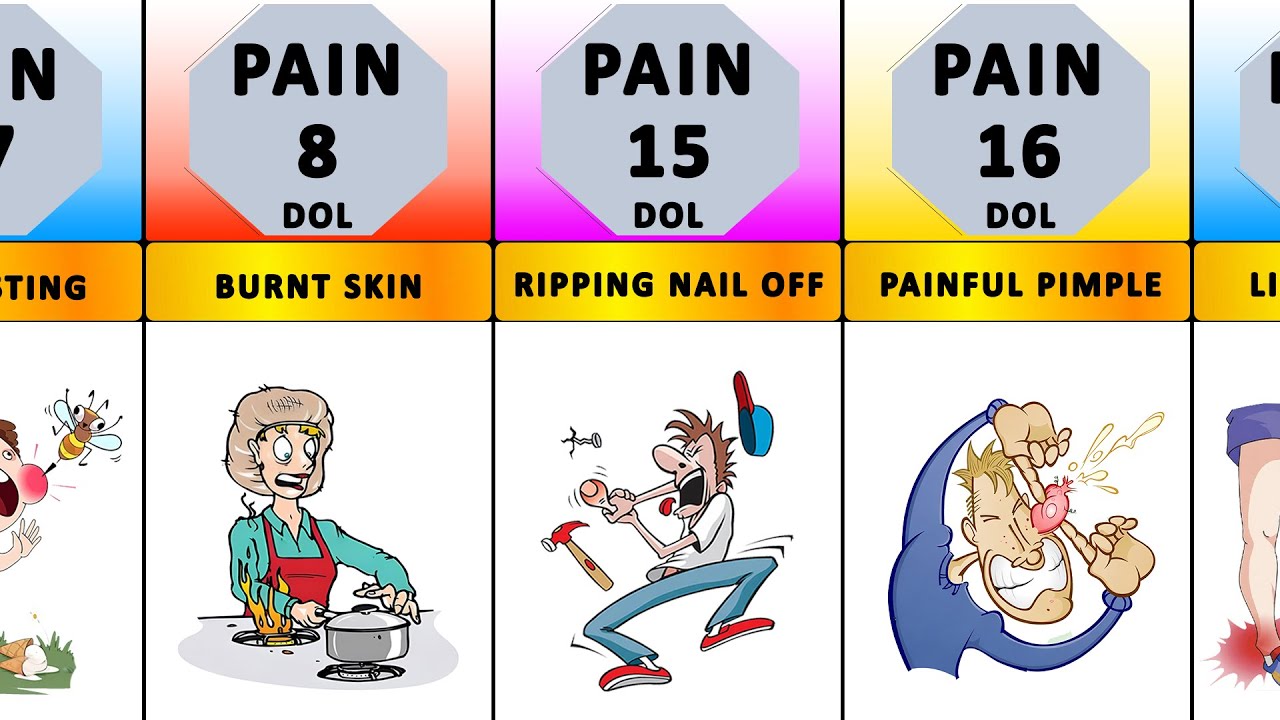 Comparisons of: Human Pain Scale - YouTube