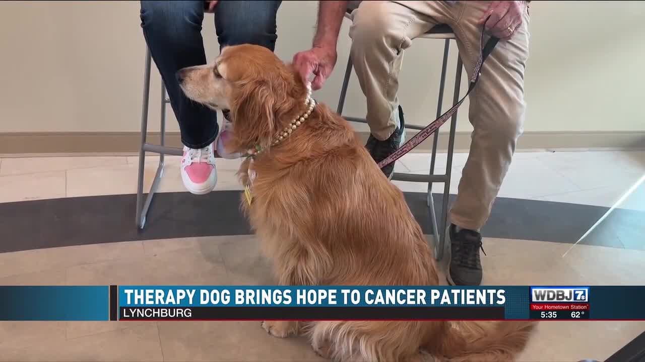 Therapy Dog Spreads Hope at Centra’s Pearson Cancer Center - YouTube