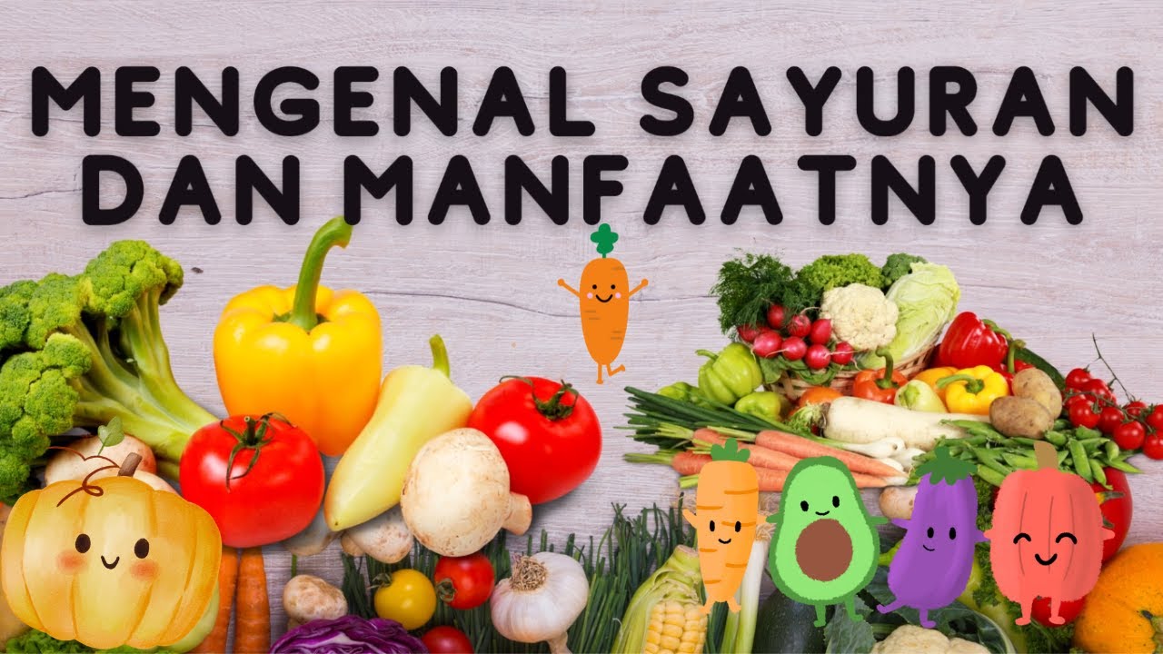 Belajar Mengenal Sayuran dan manfaatnya - YouTube