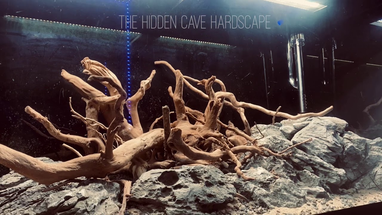The Hidden Cave / Hardscape / cinematic / redmoor Wood / Seiryu stone ...