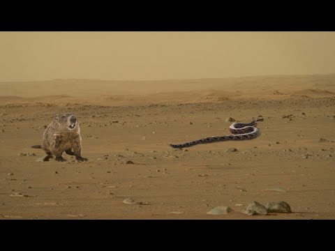 NASA Mars New Stunning Footage Sent By Perseverance Rover Live | Mars ...